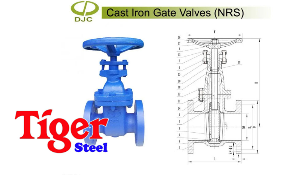 Cast iron gate valves Daejin (Korea) » Tiger Steel Cast Valve