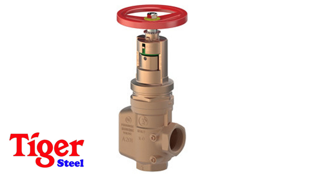 Giacomini brass pressure reducing valve