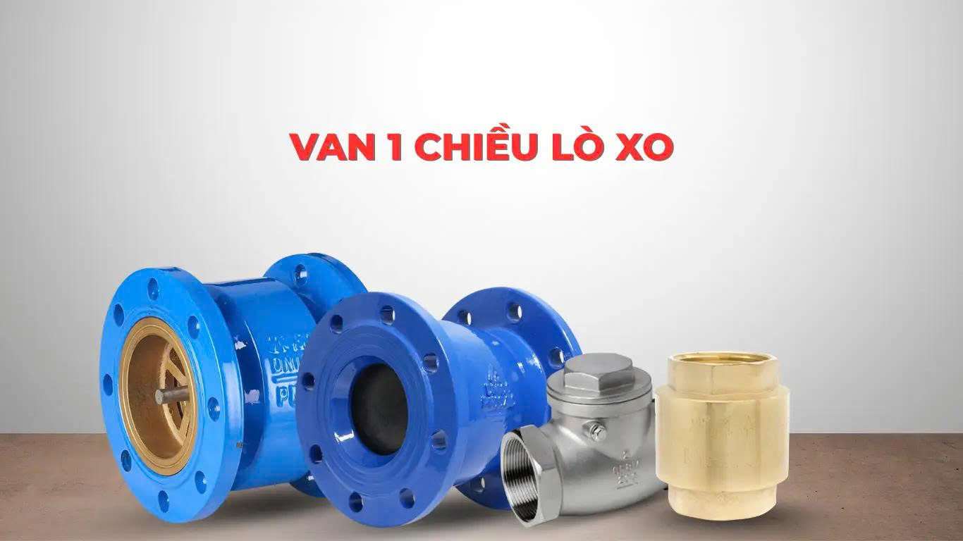 Spring Check Valve